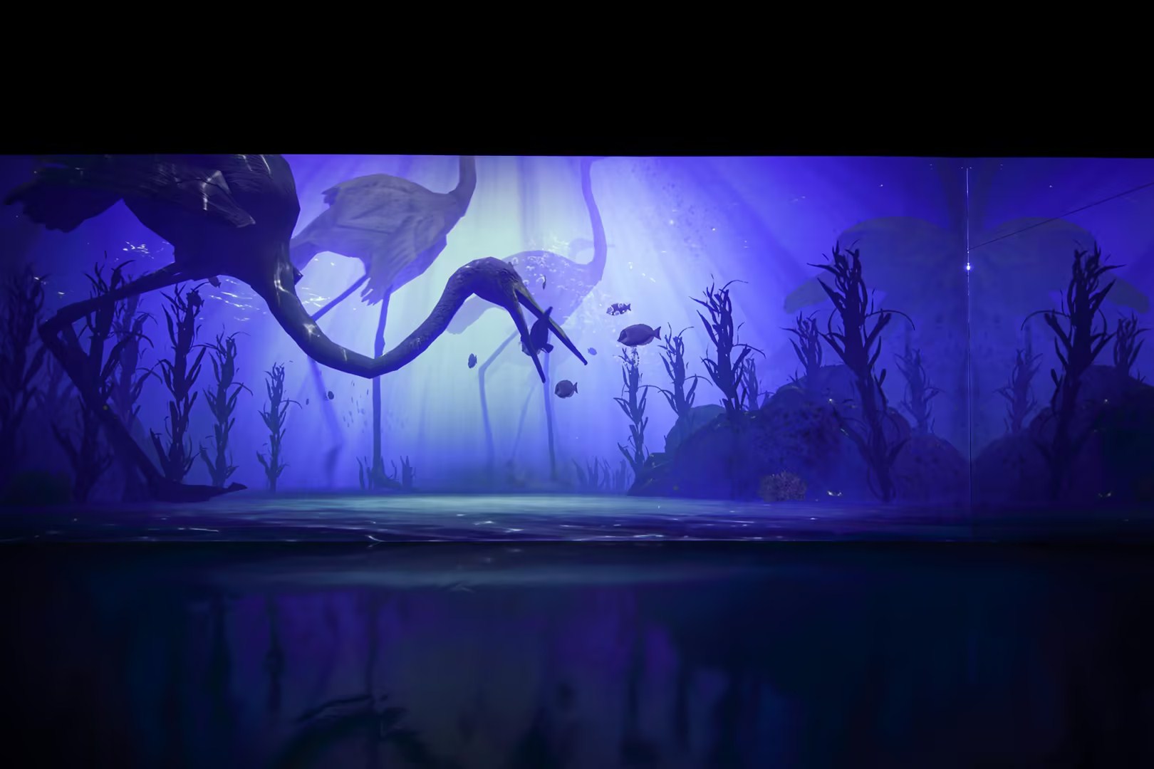 ARTE M HONG KONG 沉浸式数码艺术展馆预订_地址_价格查询-【要出发， 有品质的旅行】